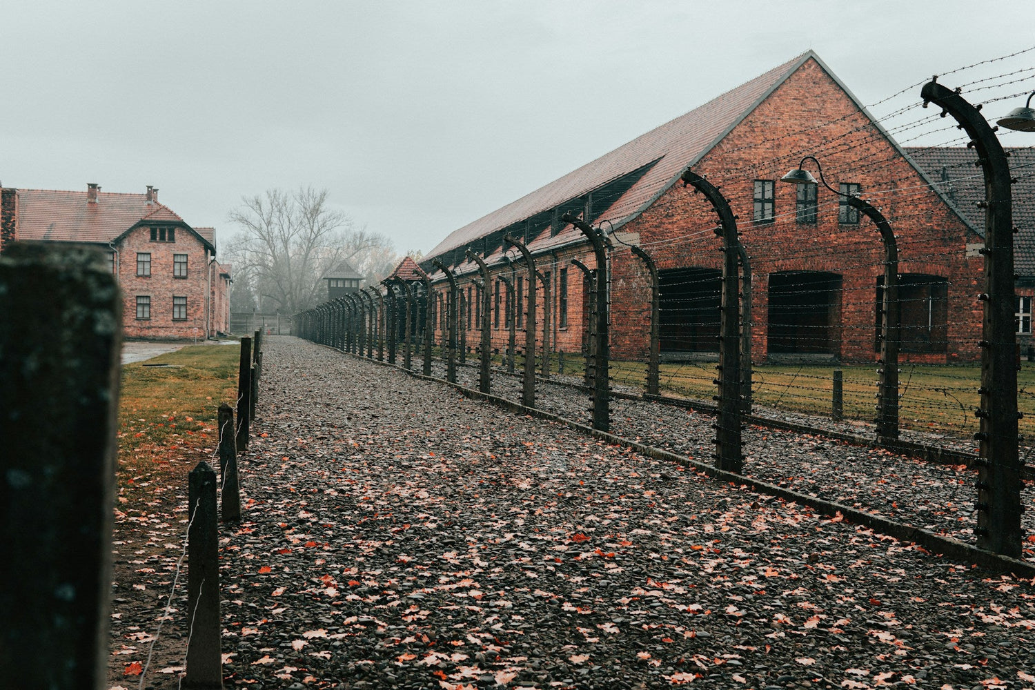 Auschwitz Tour Guide: Should You Book in Advance?